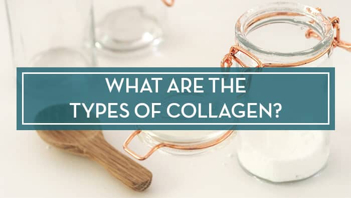 What Is Hydrolyzed Collagen