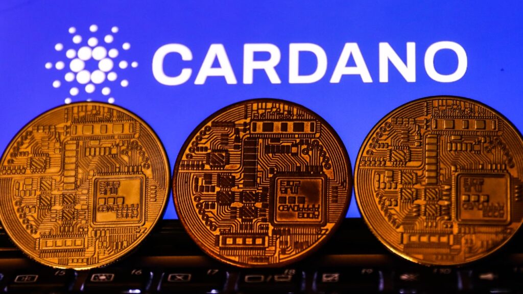 What To Do On Cardano